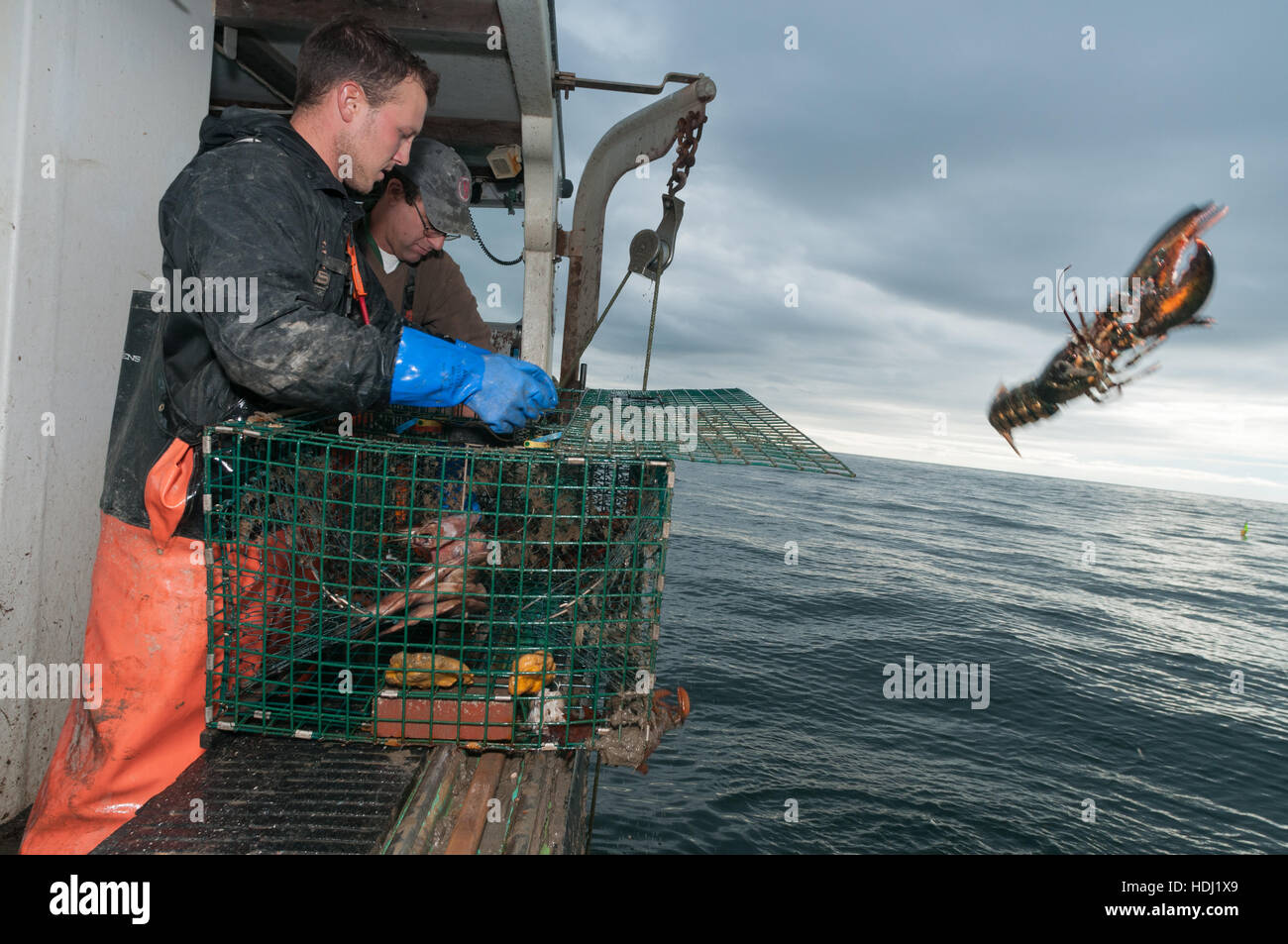 Lobster Trap And Fish Tail High Resolution Stock Photography and Images ...