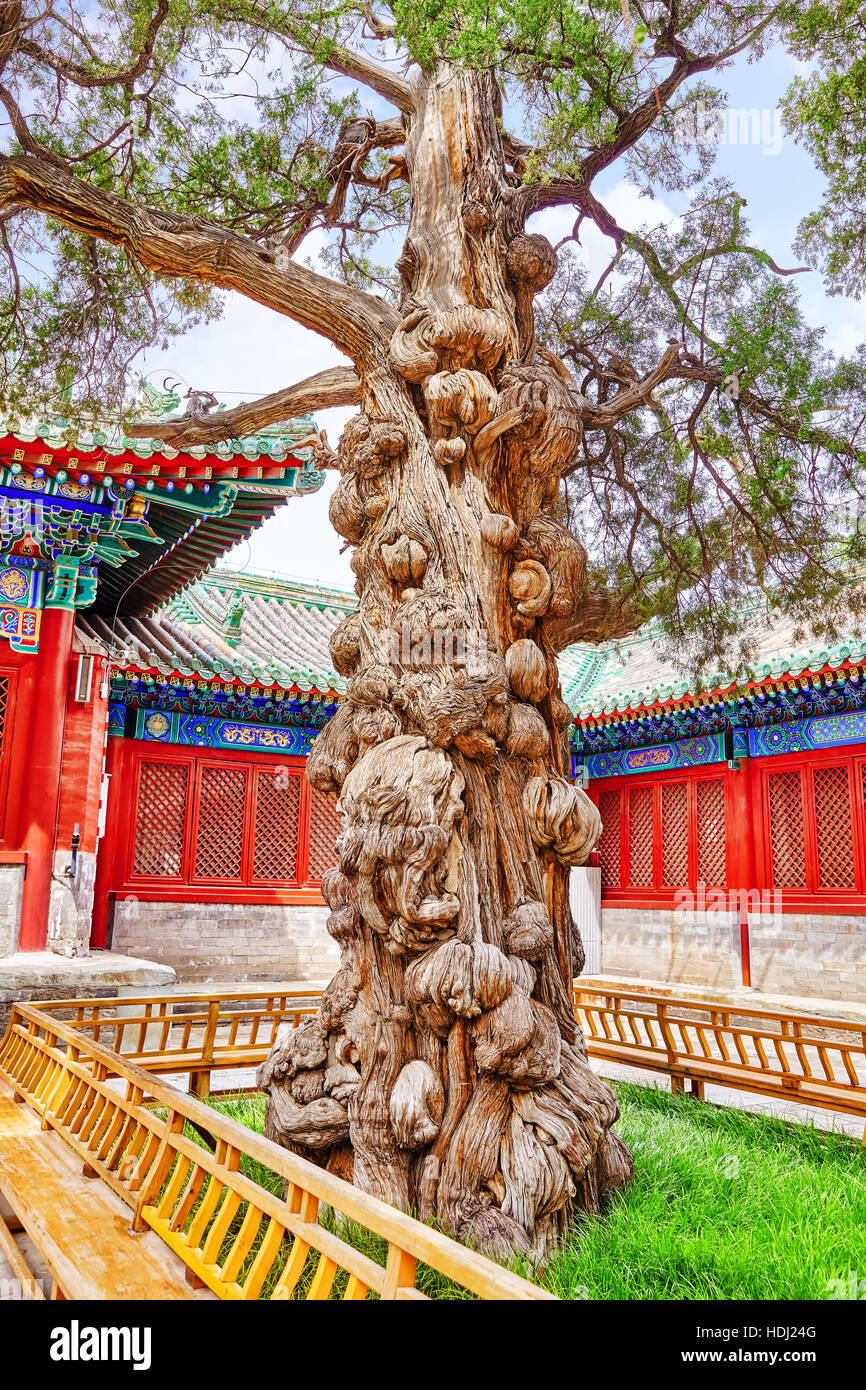 Confucius statue in the chinese garden hi-res stock photography and ...