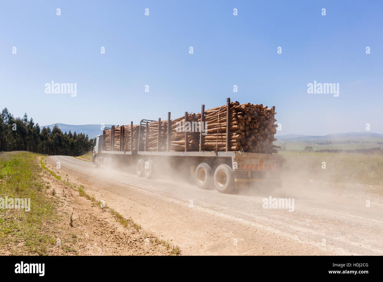 Truck vehicle transport cargo of forest trees cut logs on mountain dirt ...