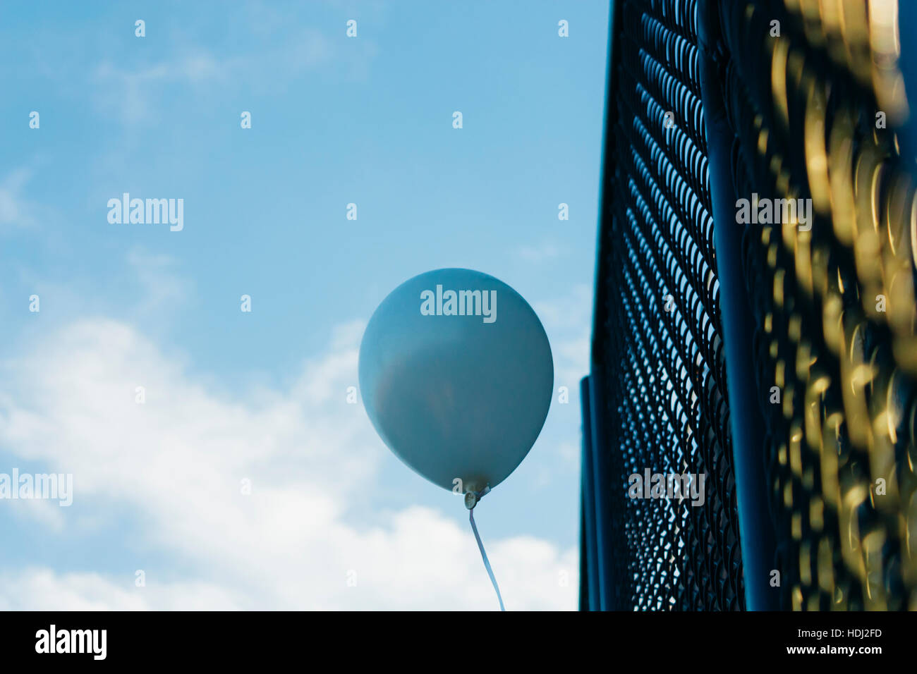 blue helium balloon fly in blue sky Stock Photo - Alamy