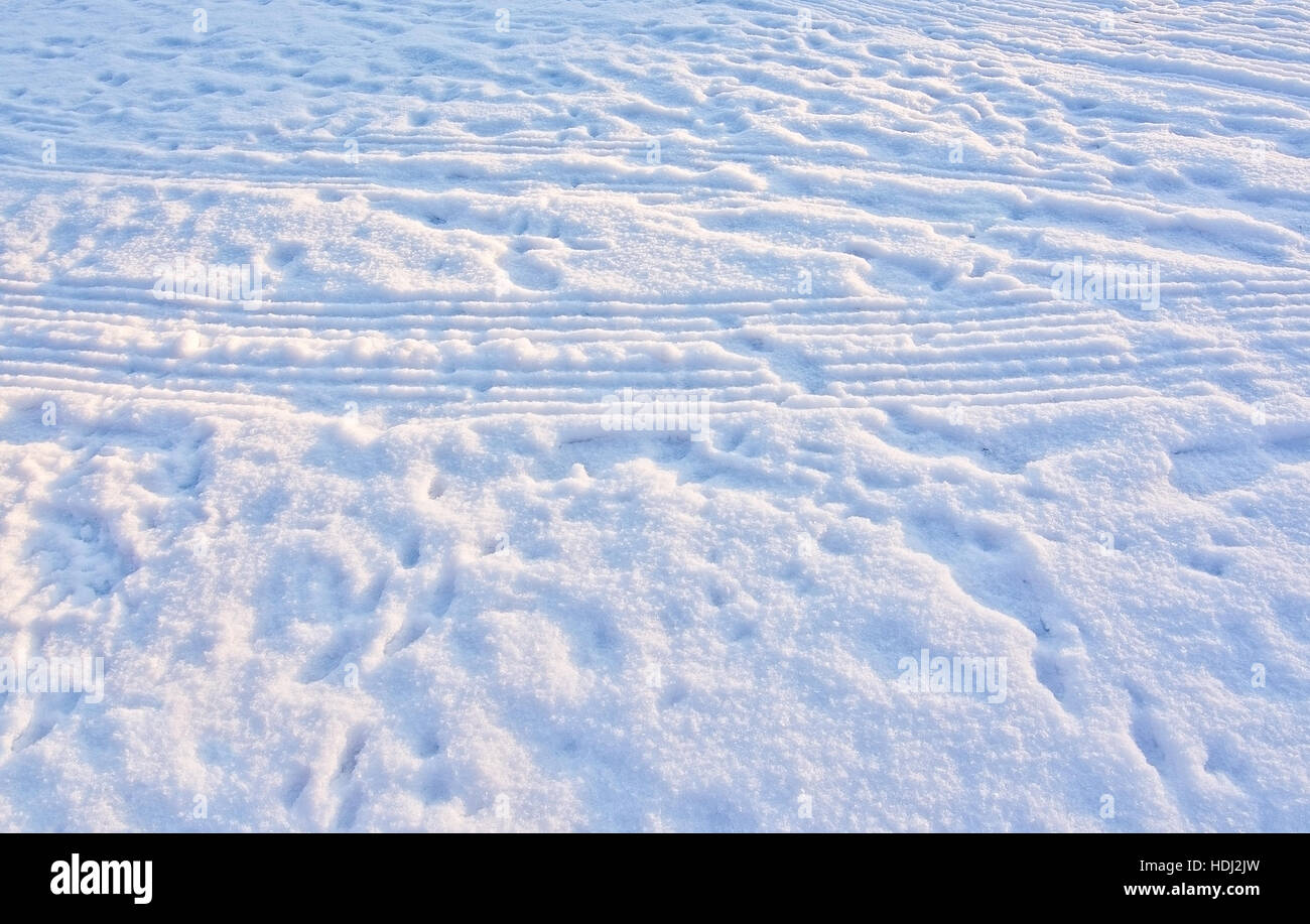 Snow background texture with tracks and foot prints copy space Stock ...