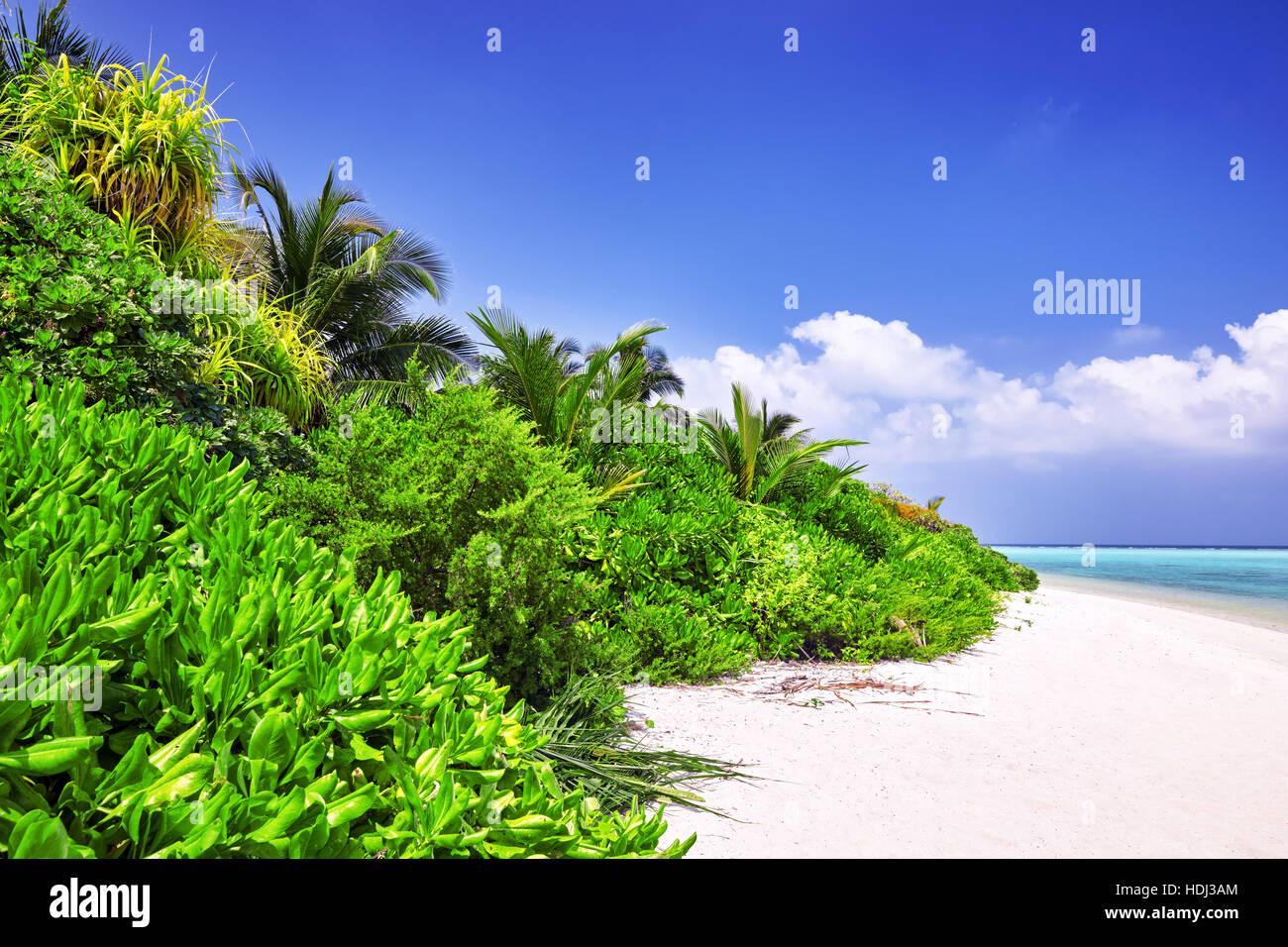 Shoreline of a tropical island in the Maldives and view of the Indian ...