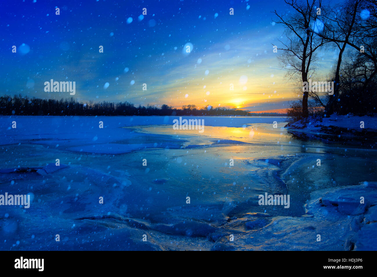 winter landscape trees on the river bank in hoarfrost, background with ...