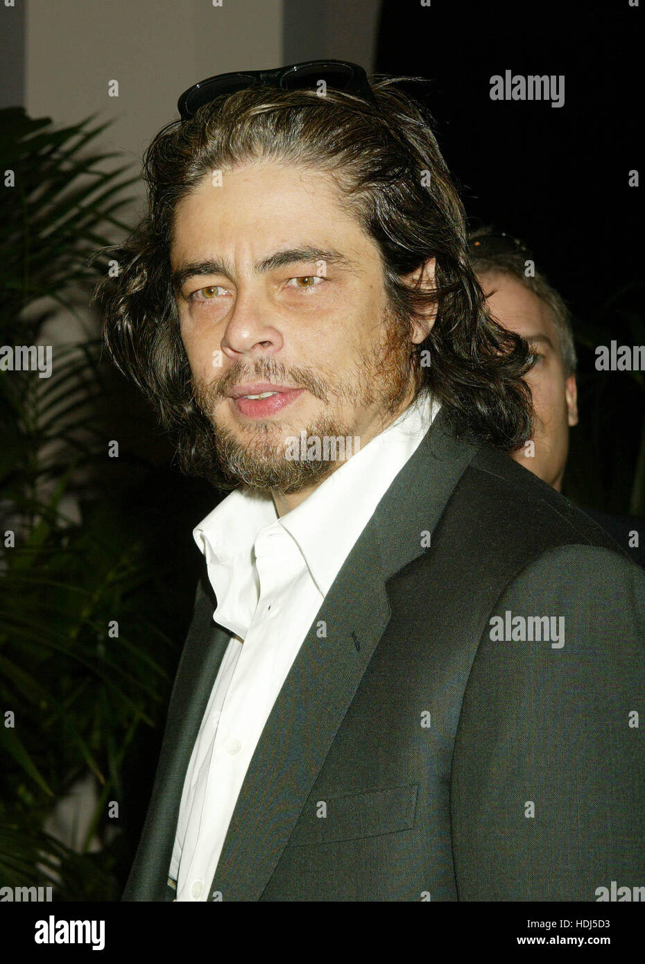 Actor Benicio Del Toro arrives at a Academy Awards Nominees Luncheon ...