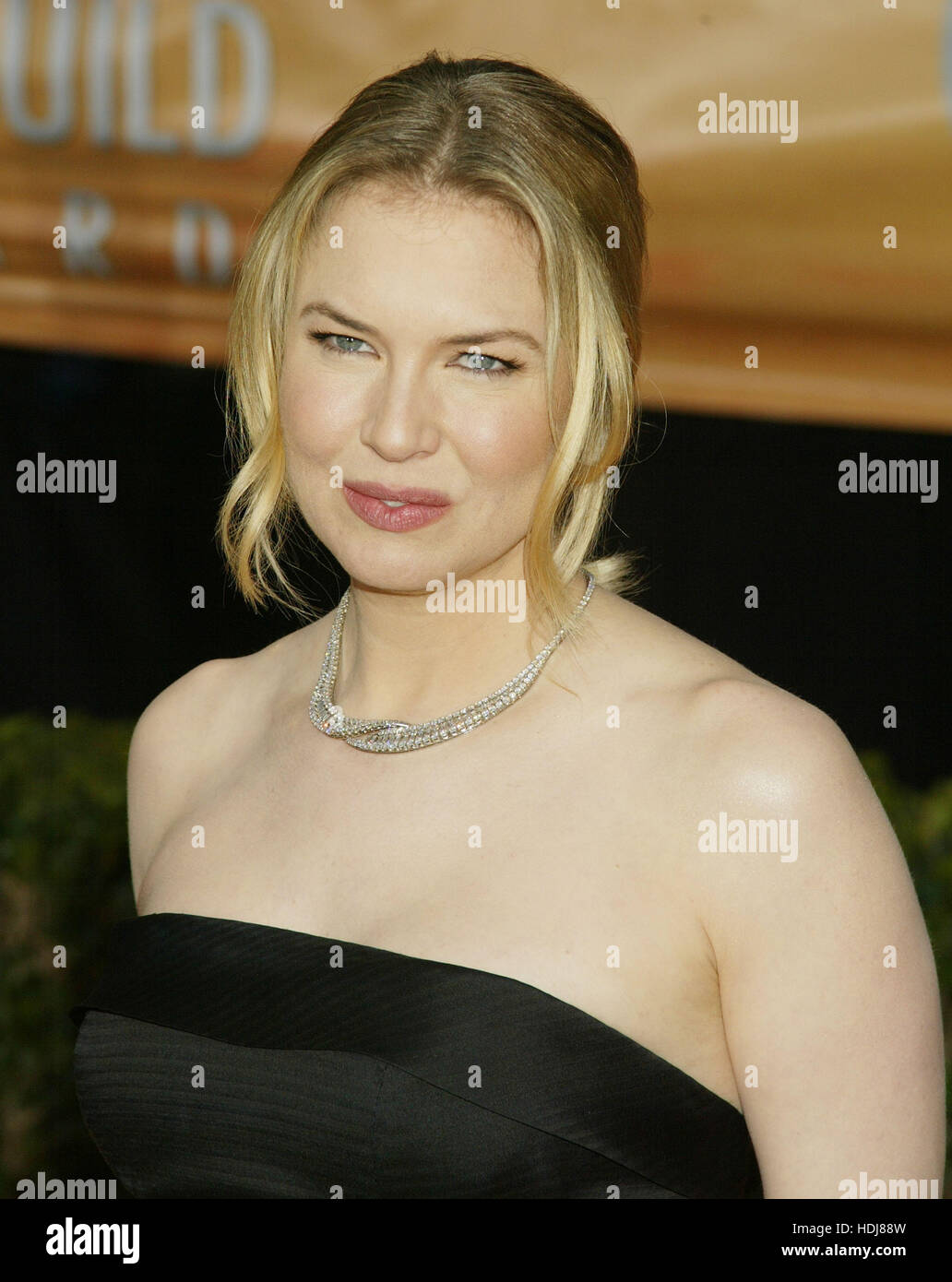 Rene Zellweger arrives at the Screen Actors Guild Awards in Los Angeles ...