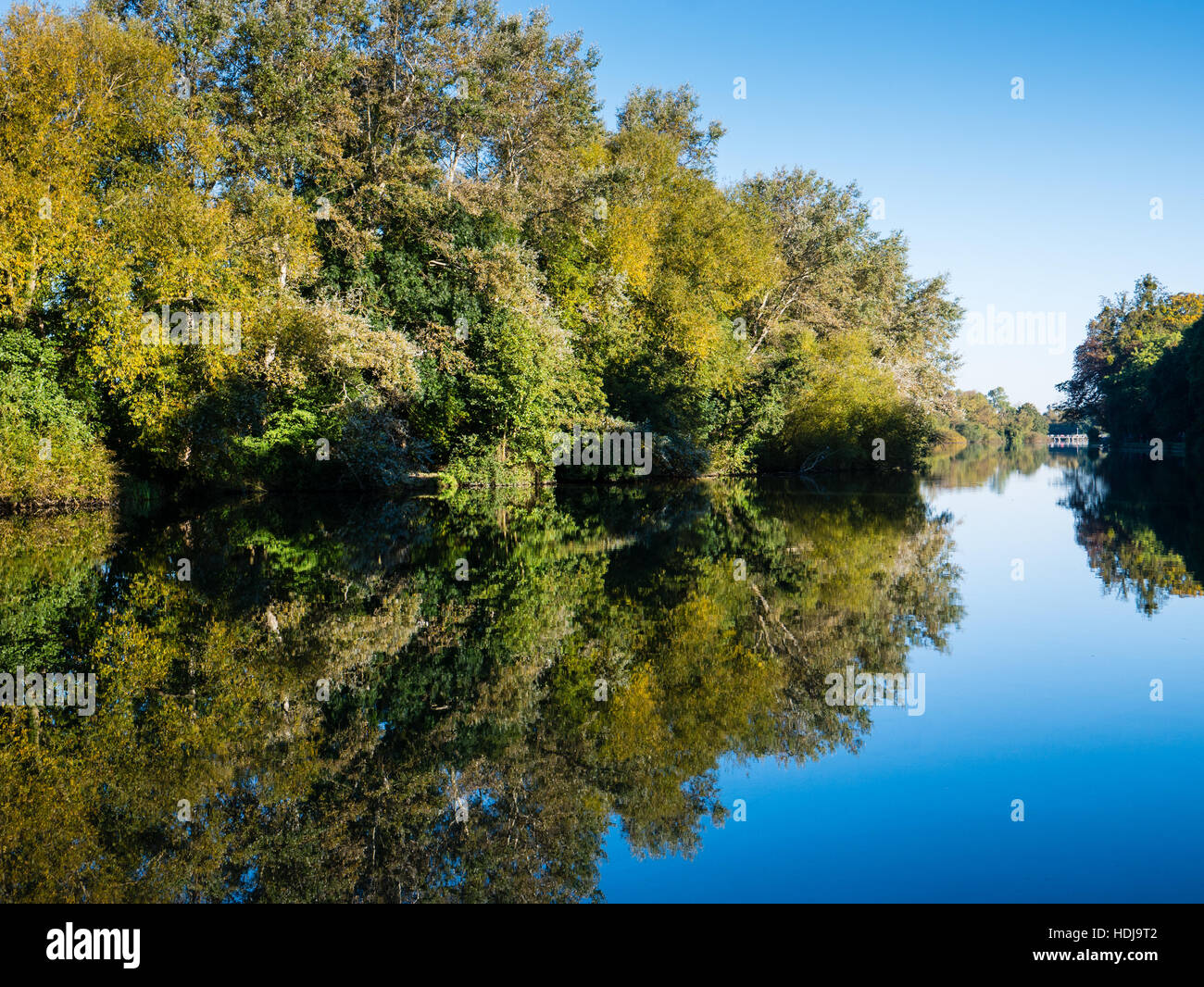 Trees in Autumn , River Thames, Sonning nr Reading, Berkshire, England ...