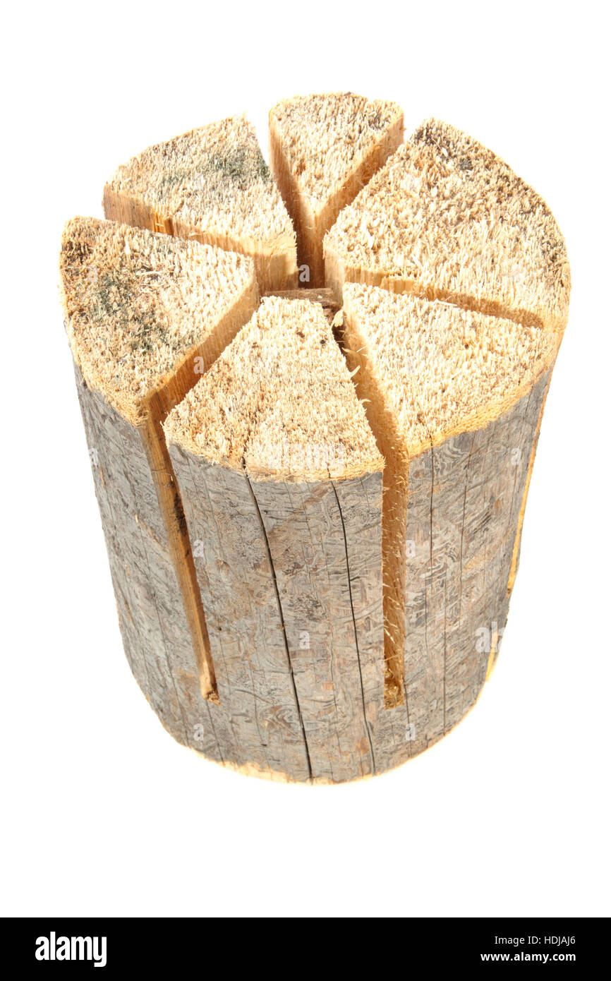 Wooden log closeup isolated on a white background Stock Photo - Alamy