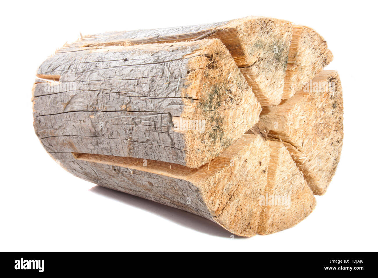 Wooden log closeup isolated on a white background Stock Photo - Alamy