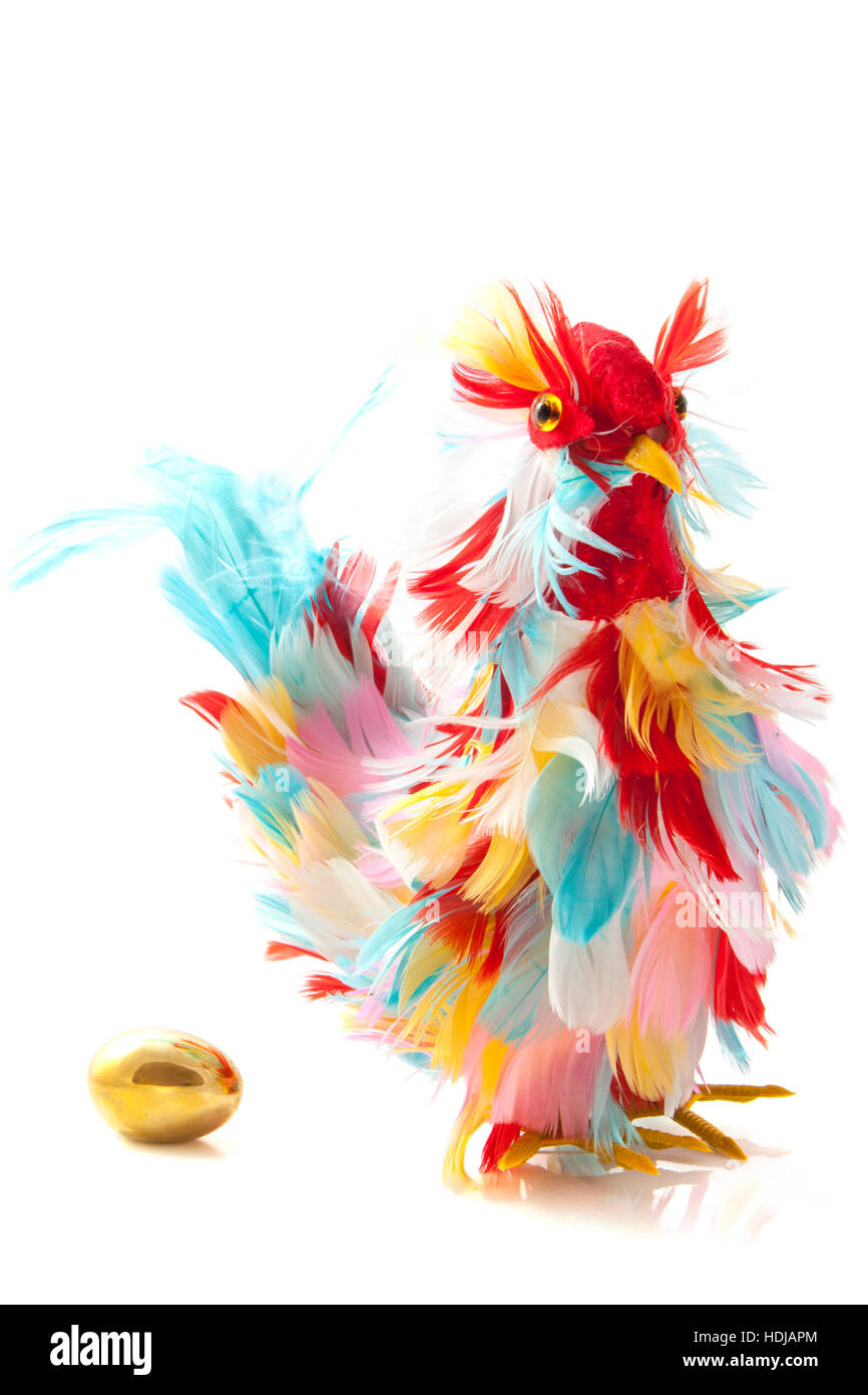 Close up colorful rooster hi-res stock photography and images - Alamy