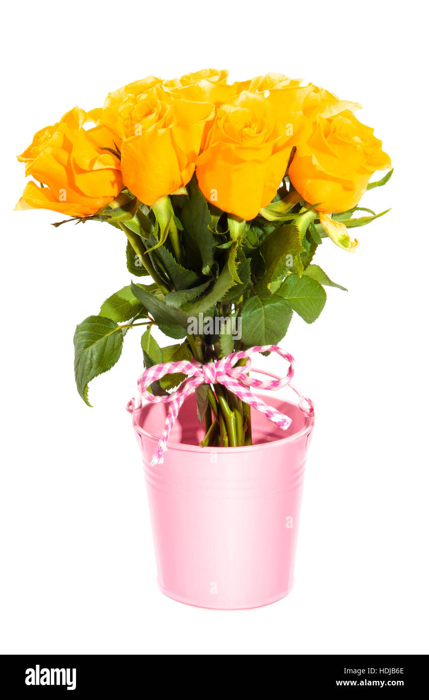 Orange bouquet roses in pink bucket isolated over white Stock Photo - Alamy