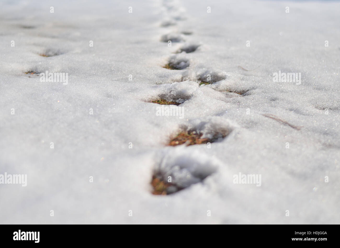 Family feet foot three people hi-res stock photography and images - Alamy