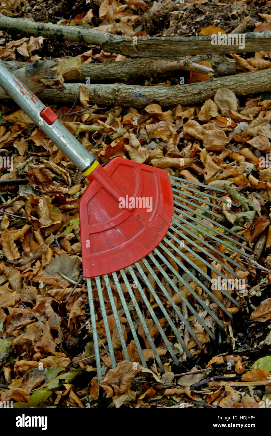 Autumn foliage and rake in meadow hi-res stock photography and images ...