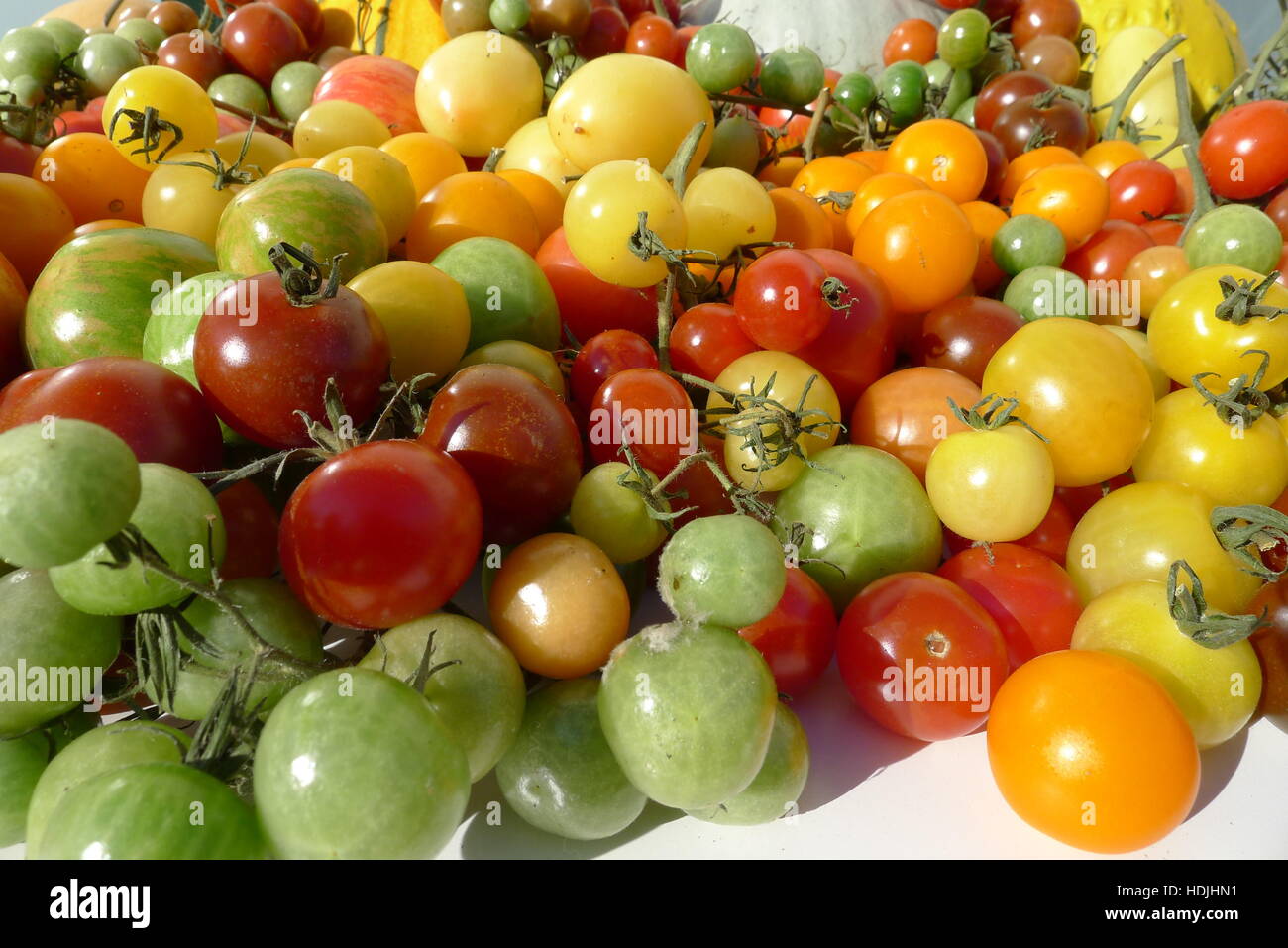 Variety of fresh vegetables colored tomatoes, red, yellow and green ...