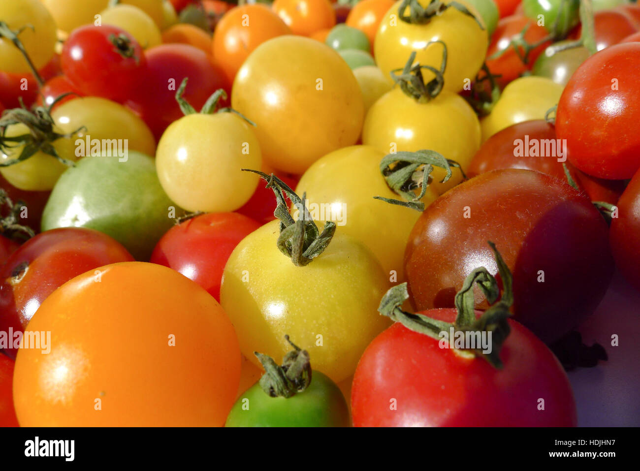Variety of fresh vegetables colored tomatoes, red, yellow and green ...
