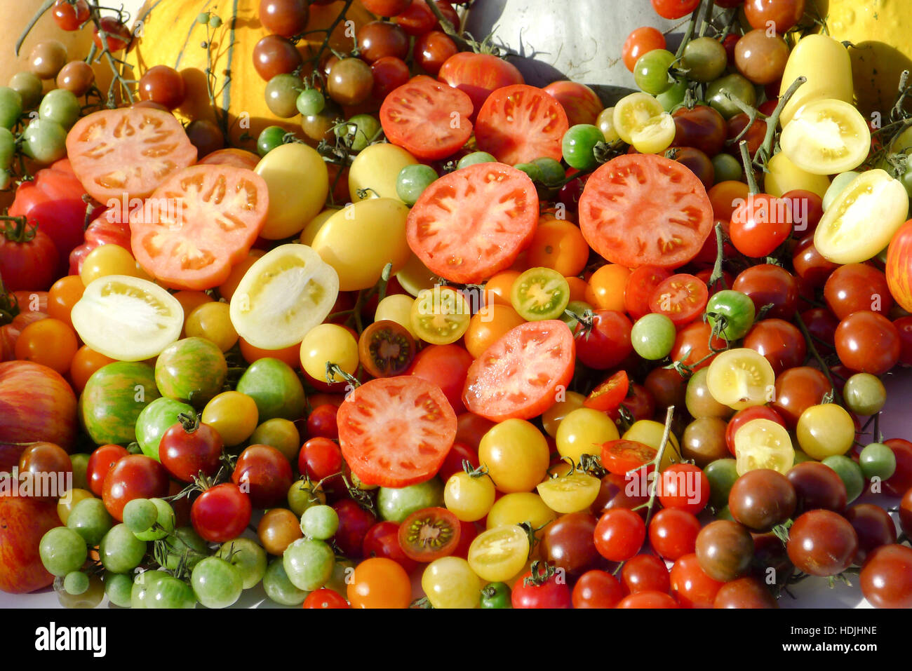Variety of fresh vegetables colored tomatoes, red, yellow and green ...