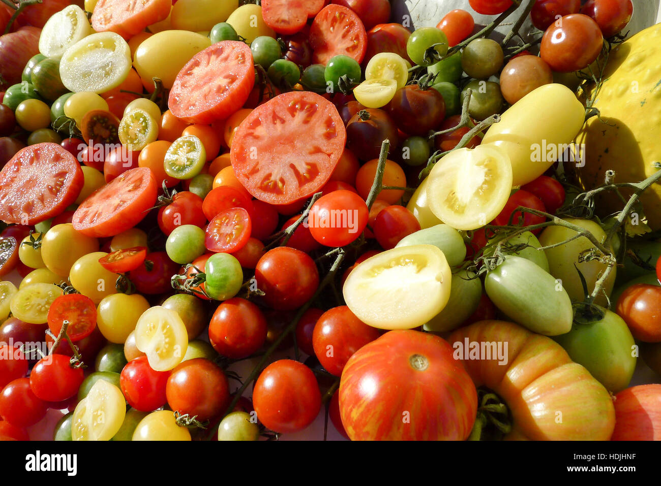 Variety of fresh vegetables colored tomatoes, red, yellow and green ...