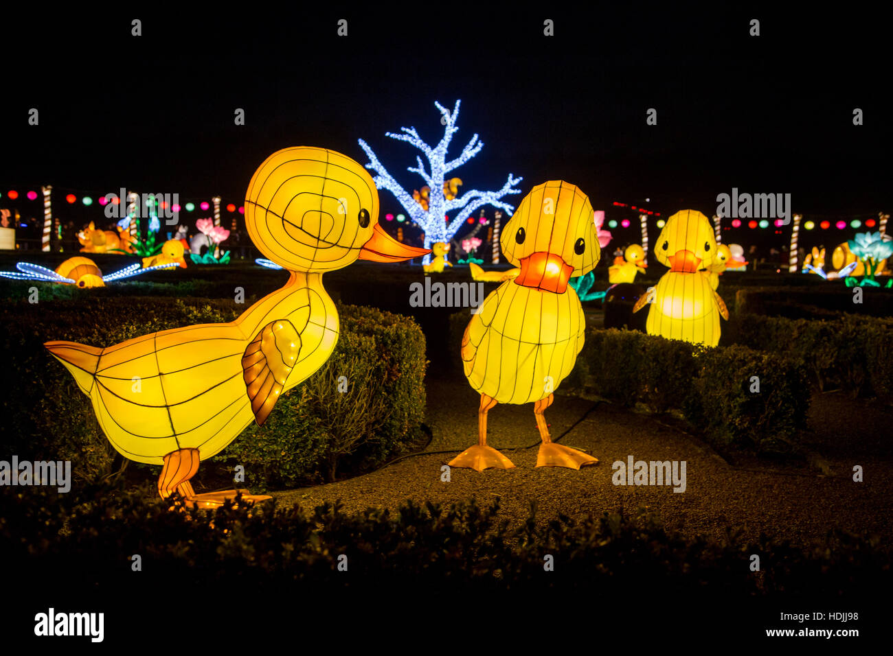 Longleat Festival of Light Stock Photo - Alamy