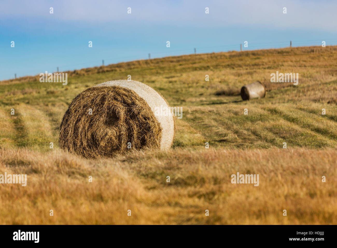 Prairie hay hi-res stock photography and images - Alamy