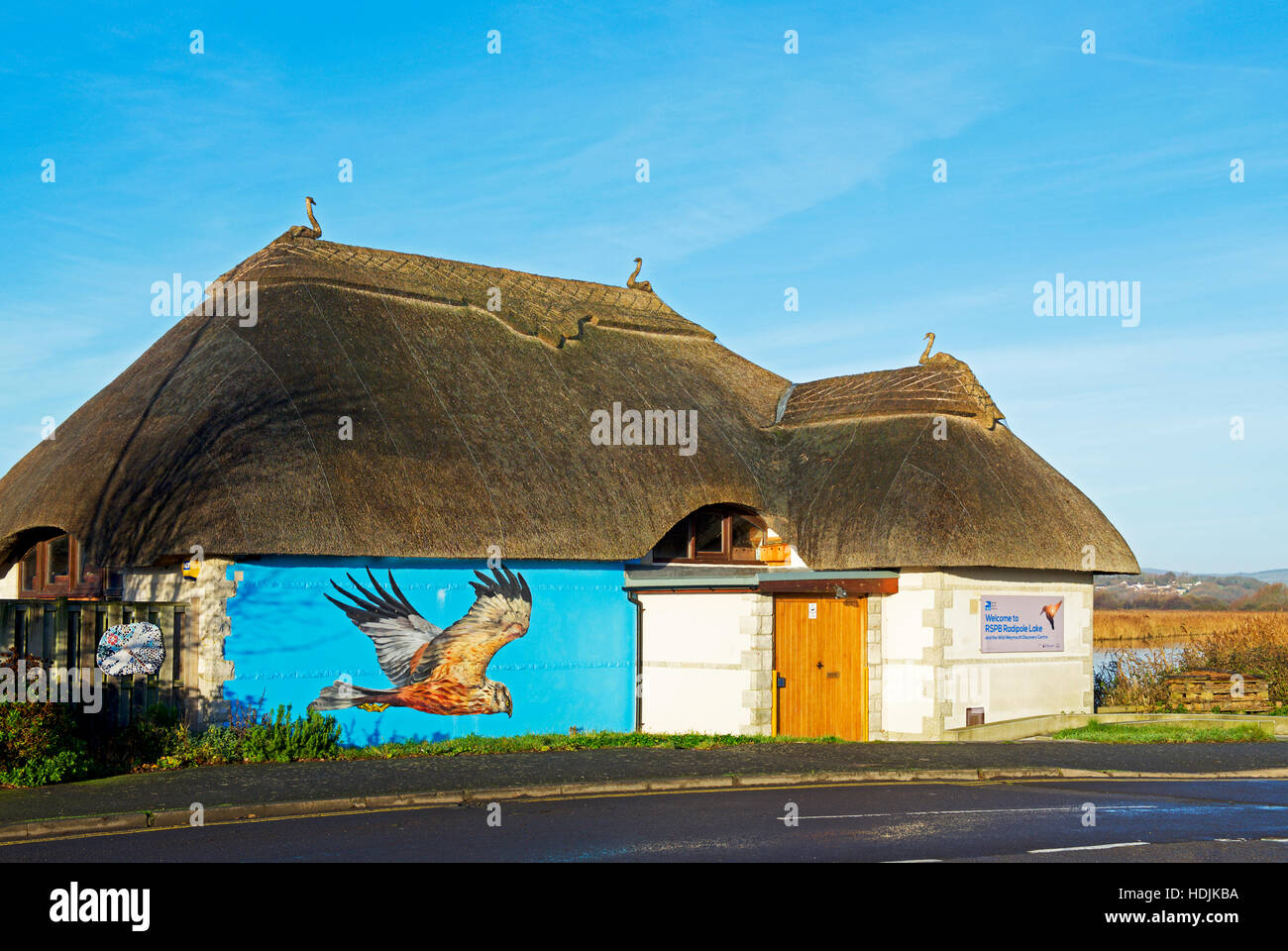 Radipole nature reserve hi-res stock photography and images - Alamy