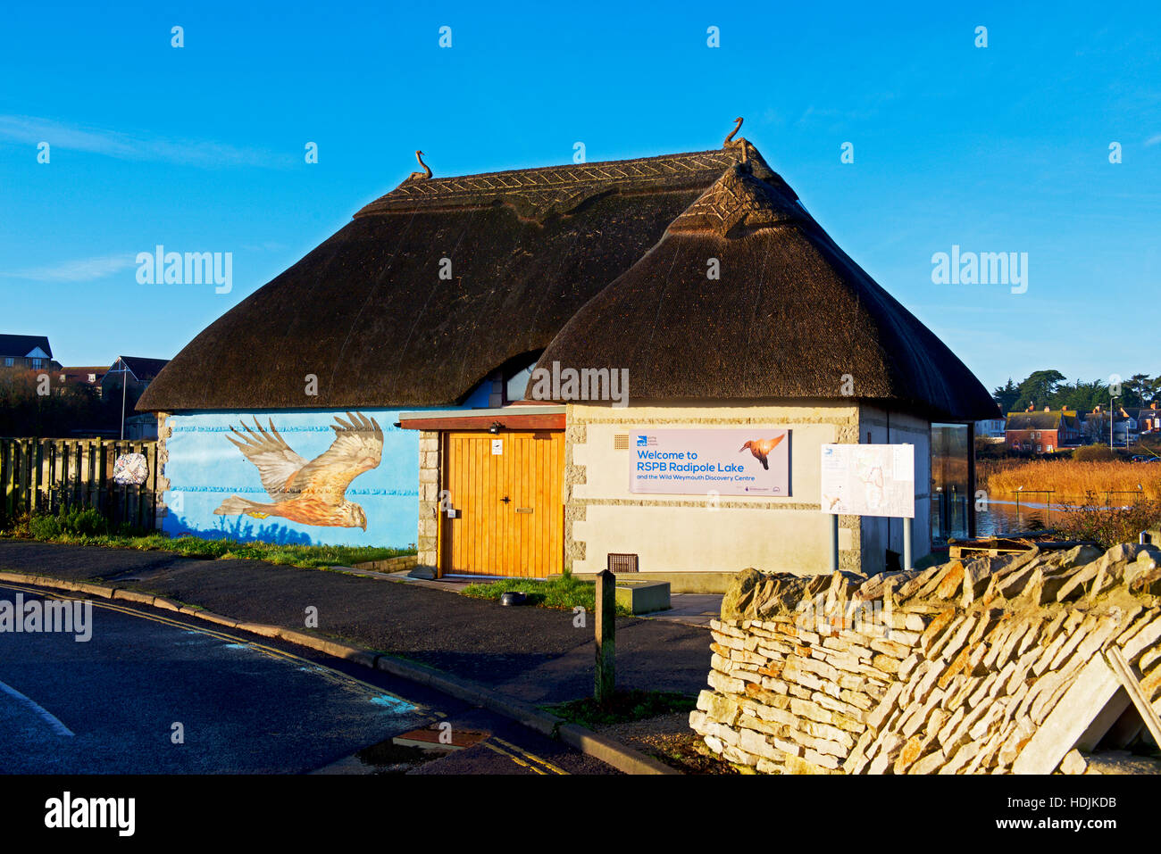Radipole lake weymouth hi-res stock photography and images - Alamy