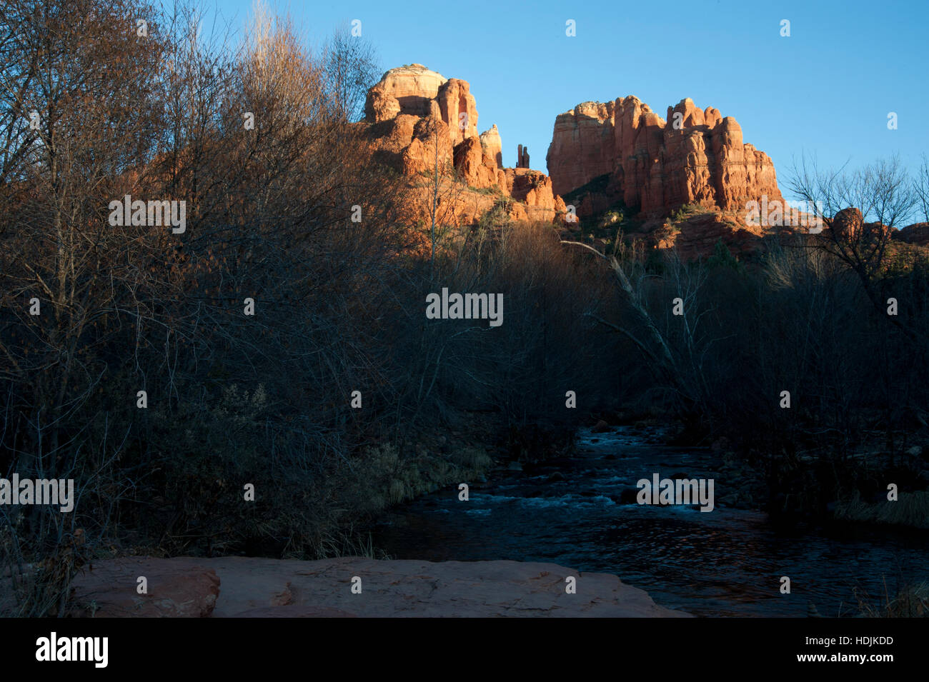 Cathedral live oak hi-res stock photography and images - Alamy