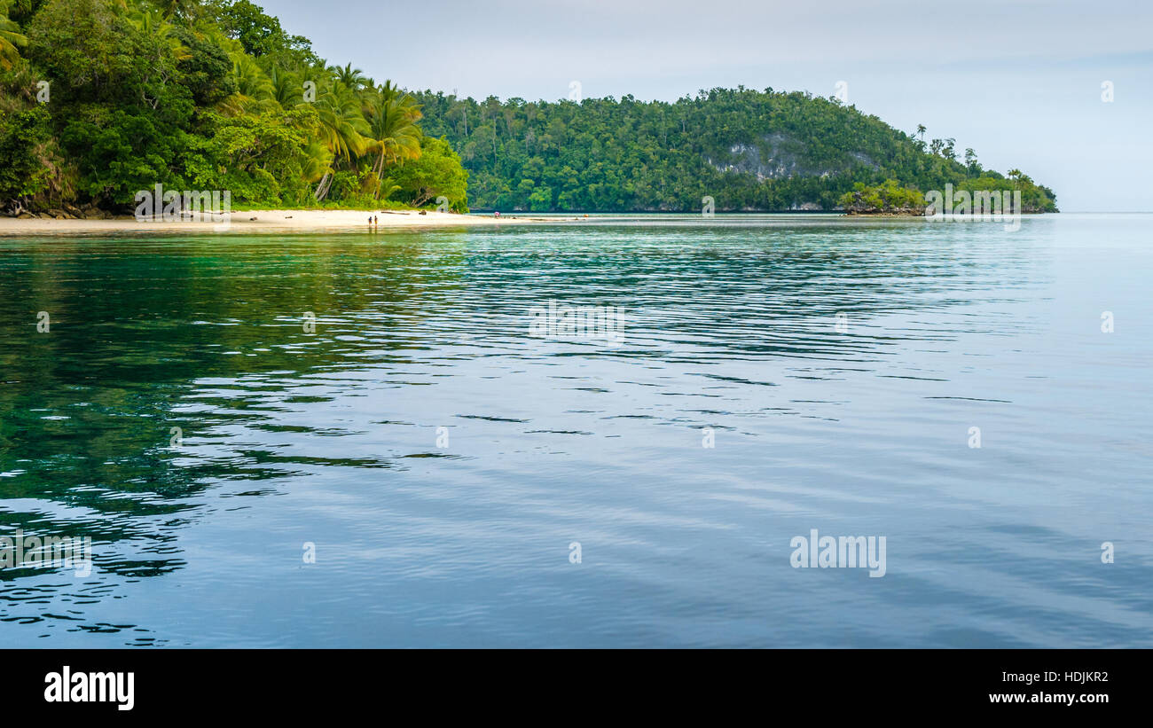 Friwen Island in Front and Wall in Background, West Papuan, Raja Ampat ...
