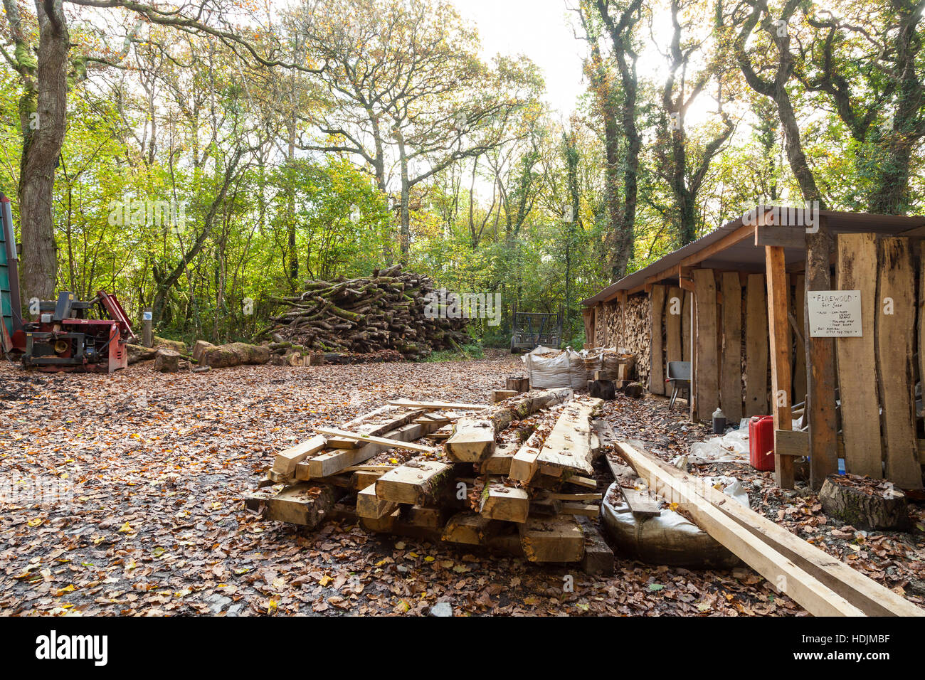 Pengelli forest hi-res stock photography and images - Alamy