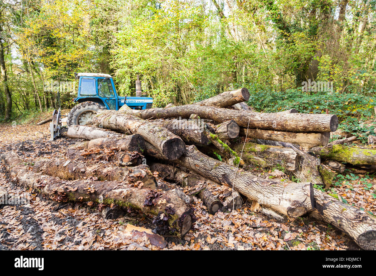 Tractor at Wood Store Stock Photo - Alamy