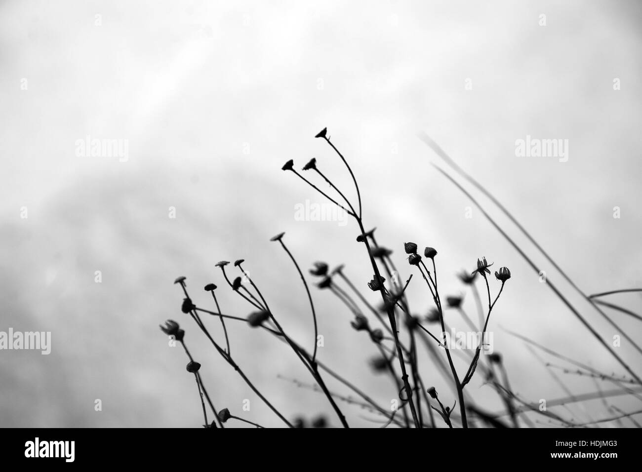 I am shivering! Stock Photo - Alamy