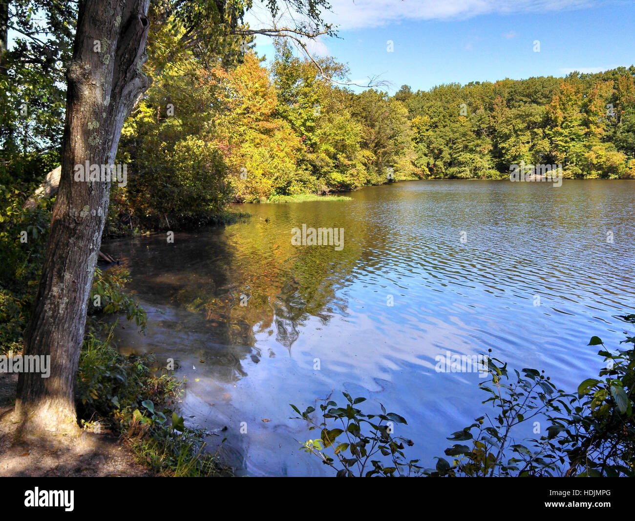 Landscape, Swift Creek, Colonial Heights, Virginia USA, tributary ...