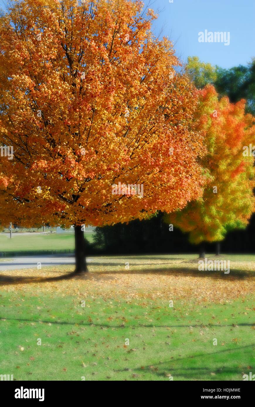 Fall colors landscape, Chesterfield County, Virginia USA. Orton effect ...