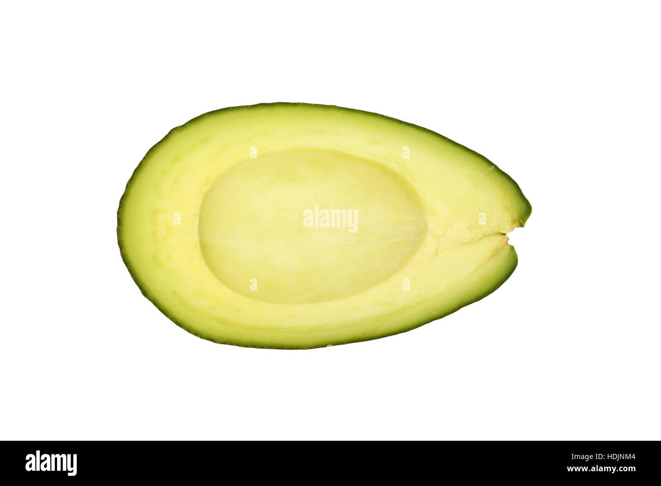One fresh green ripe avocado (Persea gratissima) half without pit stone ...
