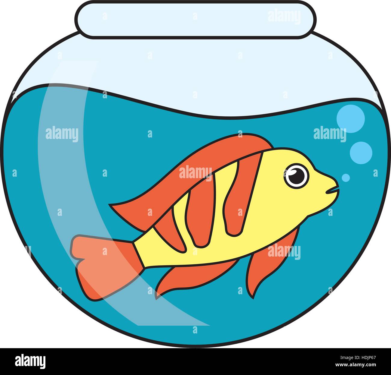 Fish animal cartoon inside bowl design Stock Vector Image & Art - Alamy