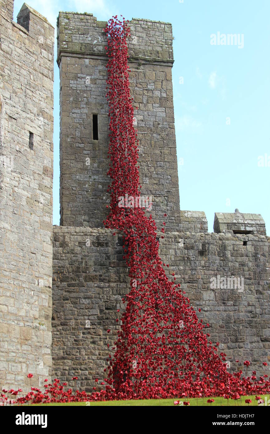 Poppies exhibition: Weeping Window on display at Caernarfon Castle. The ...