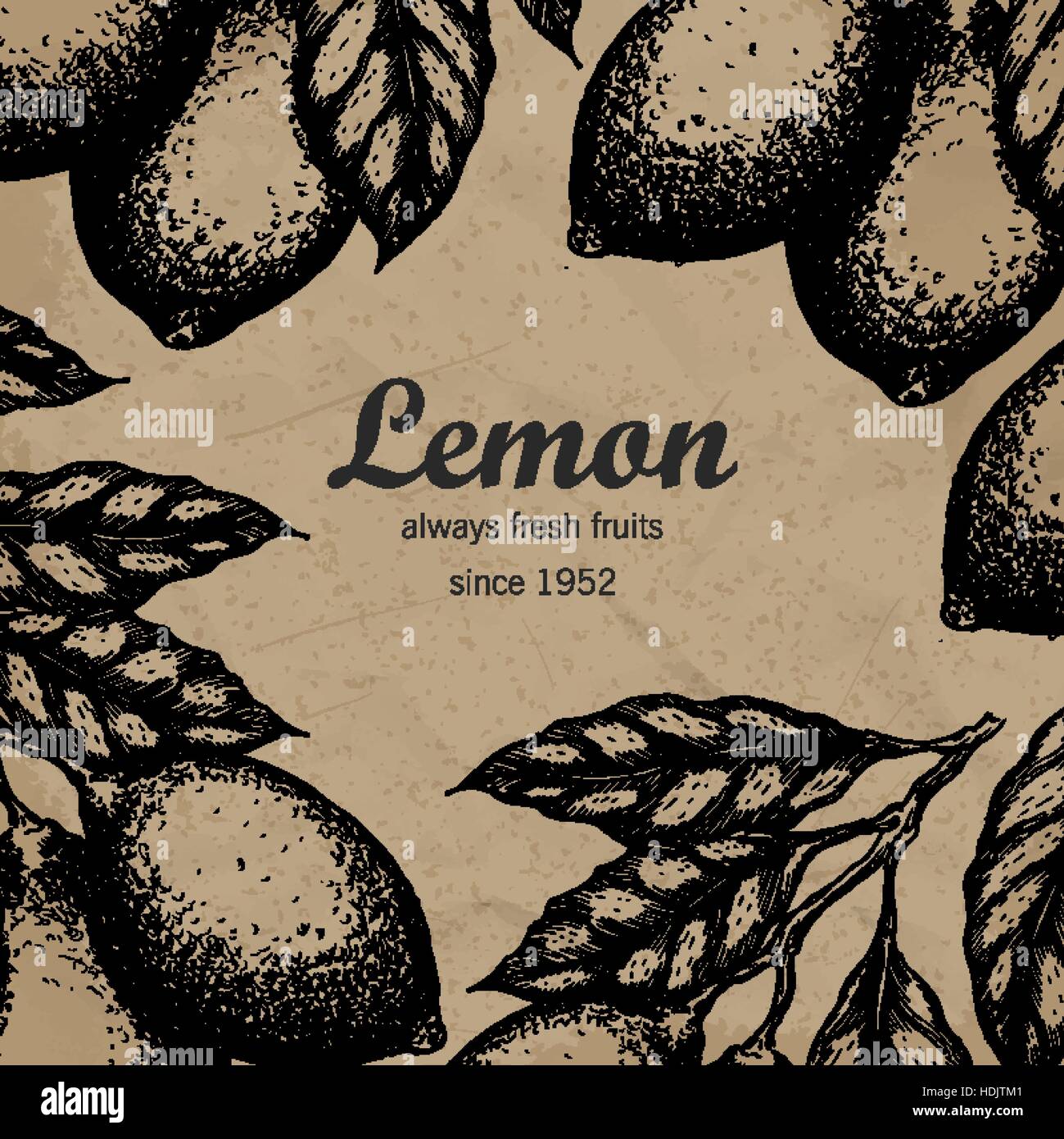 Lemon tree design template. Hand drawn lemon fruit branch with leaves sketch. Vector ...
