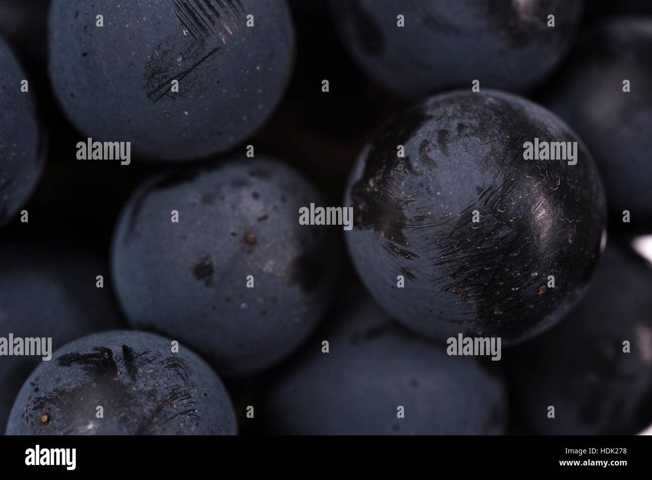 Closeup, grape berry Stock Photo - Alamy