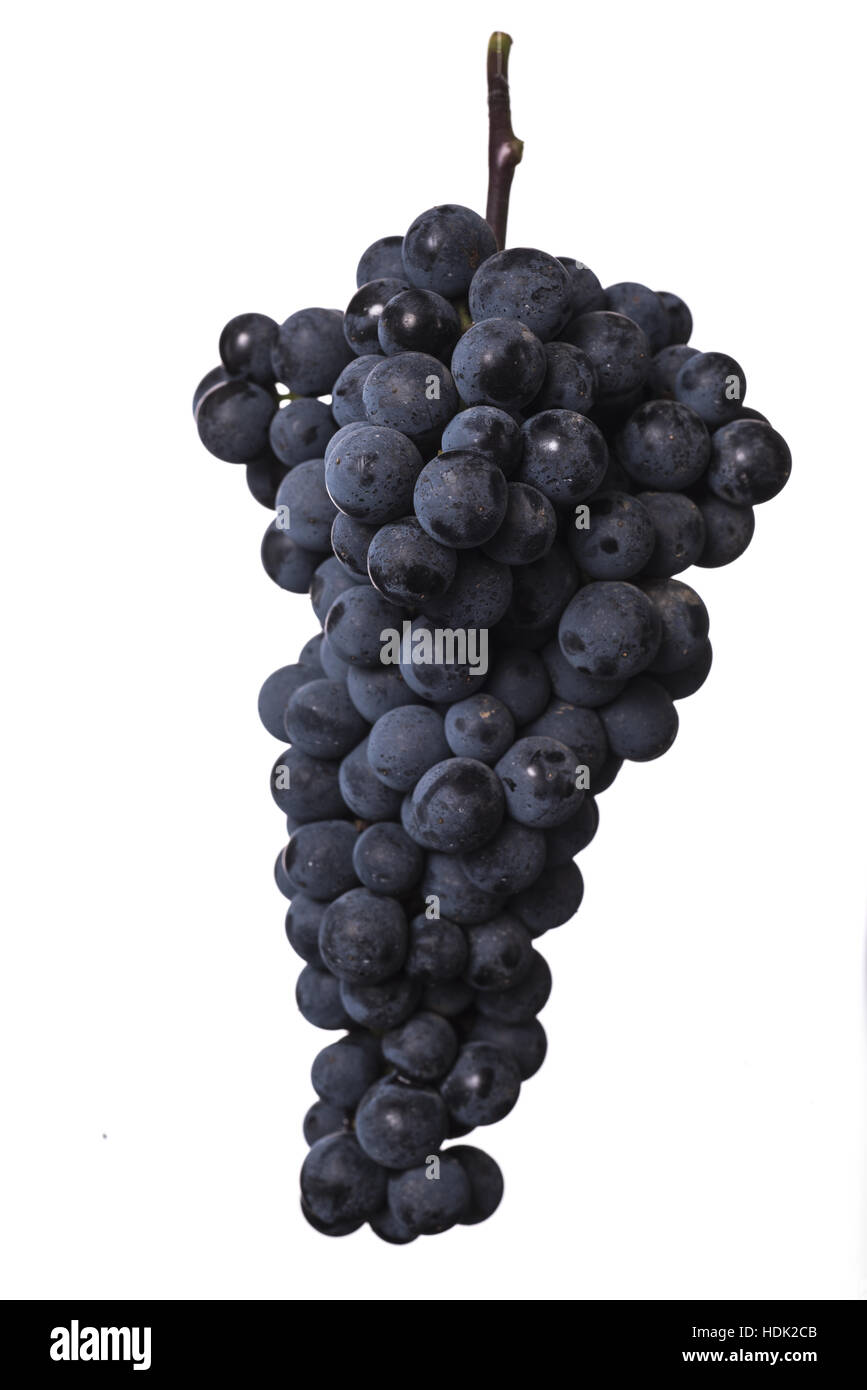 Big grapes Cut Out Stock Images & Pictures - Alamy