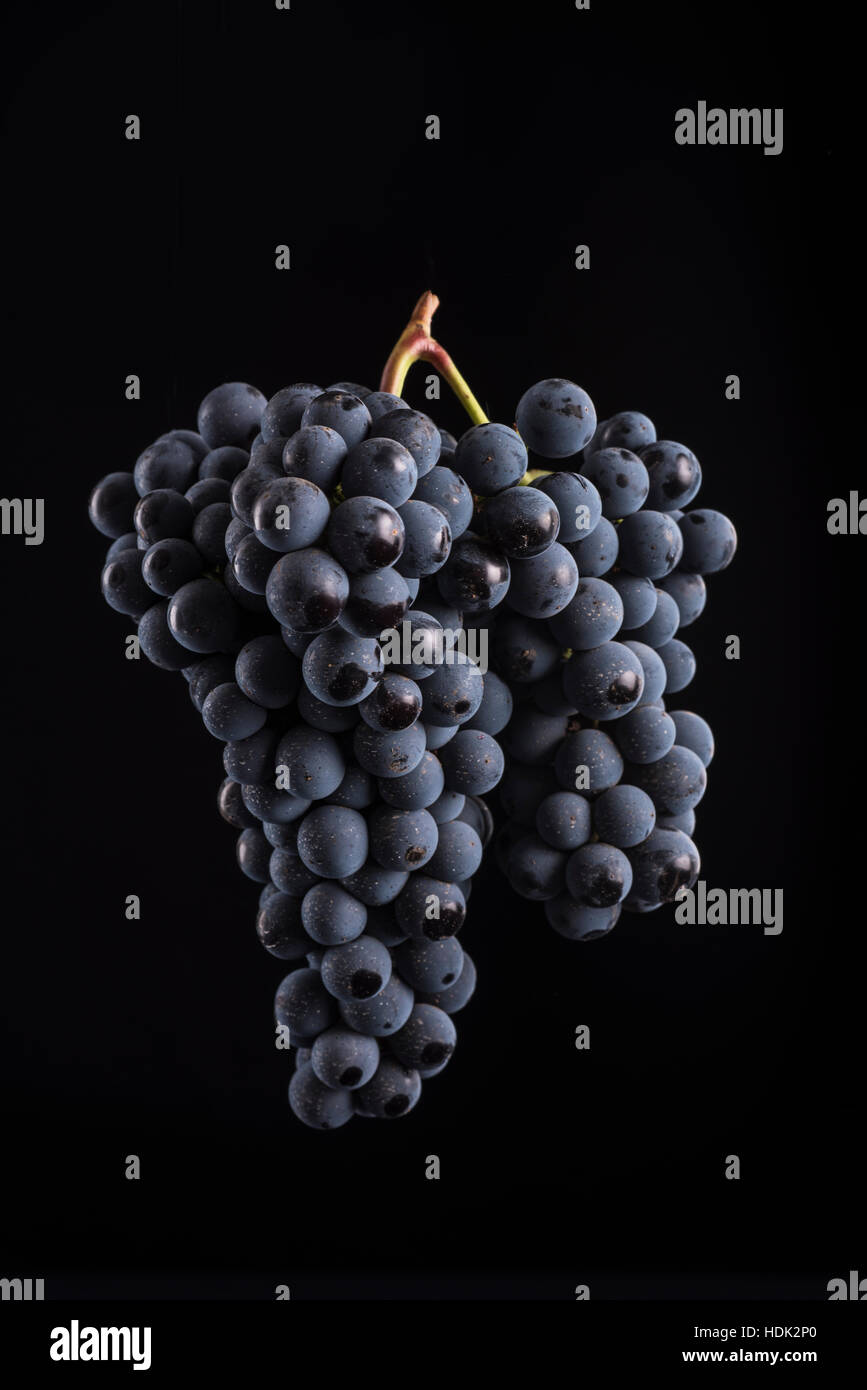 Reference, double bunch of grapes on black background Stock Photo - Alamy
