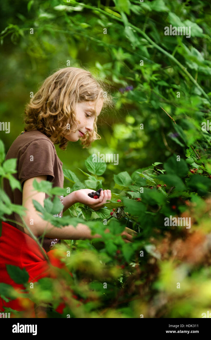 young girl picking raspberries Stock Photo - Alamy
