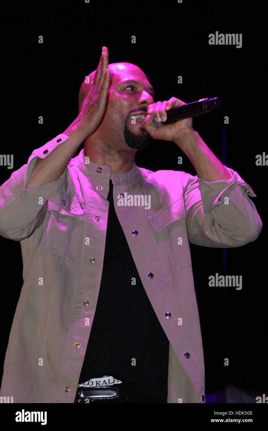 Common performs at the Neighborhood to Neighborhood Street Festival ...