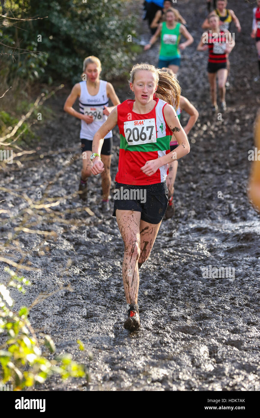 Stacey Burrows runs the SEAA Cross Country Champs in Parliament Hill ...