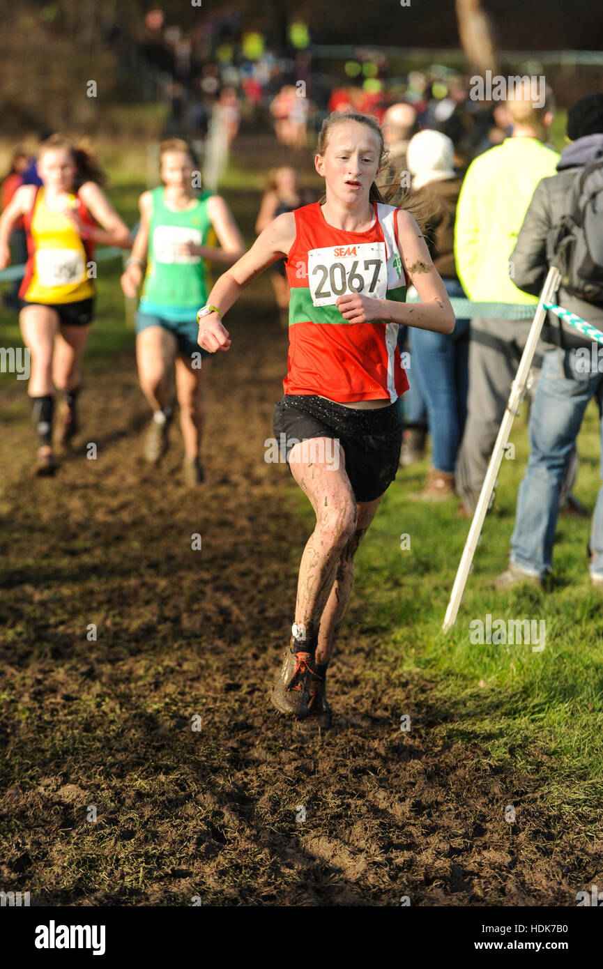 Stacey Burrows runs the SEAA Cross Country Champs in Parliament Hill ...