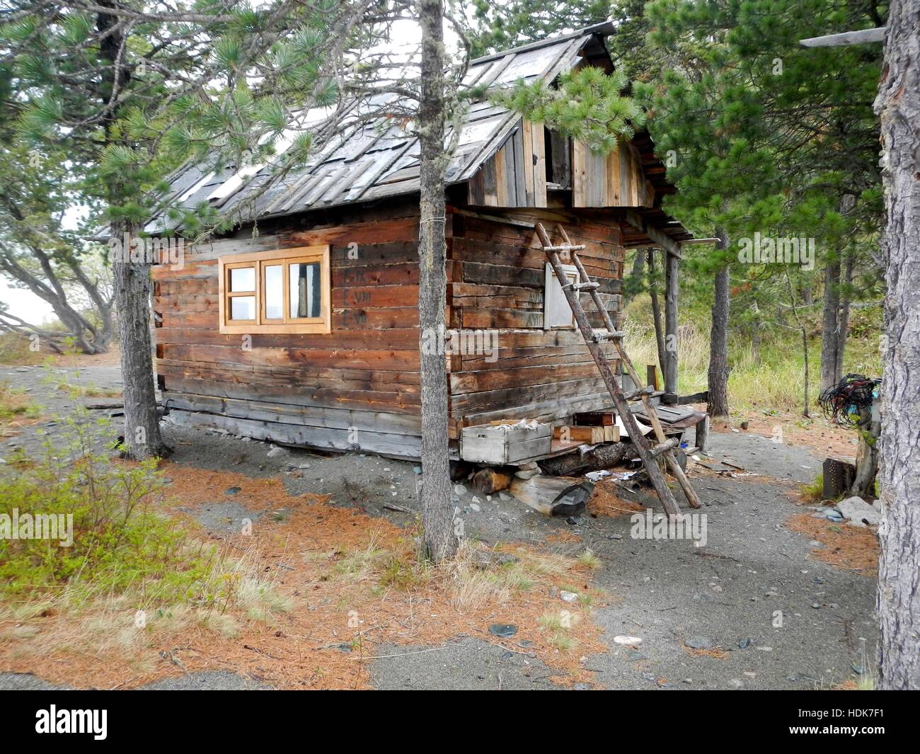 house hunting in the woods in forest Stock Photo - Alamy