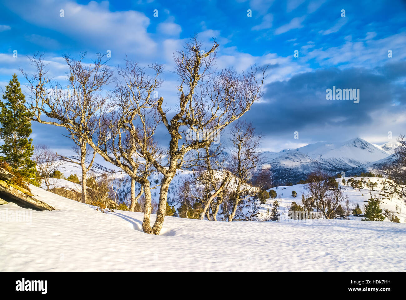 Wilderness and nature covered in snow in Volda in Norway Stock Photo ...