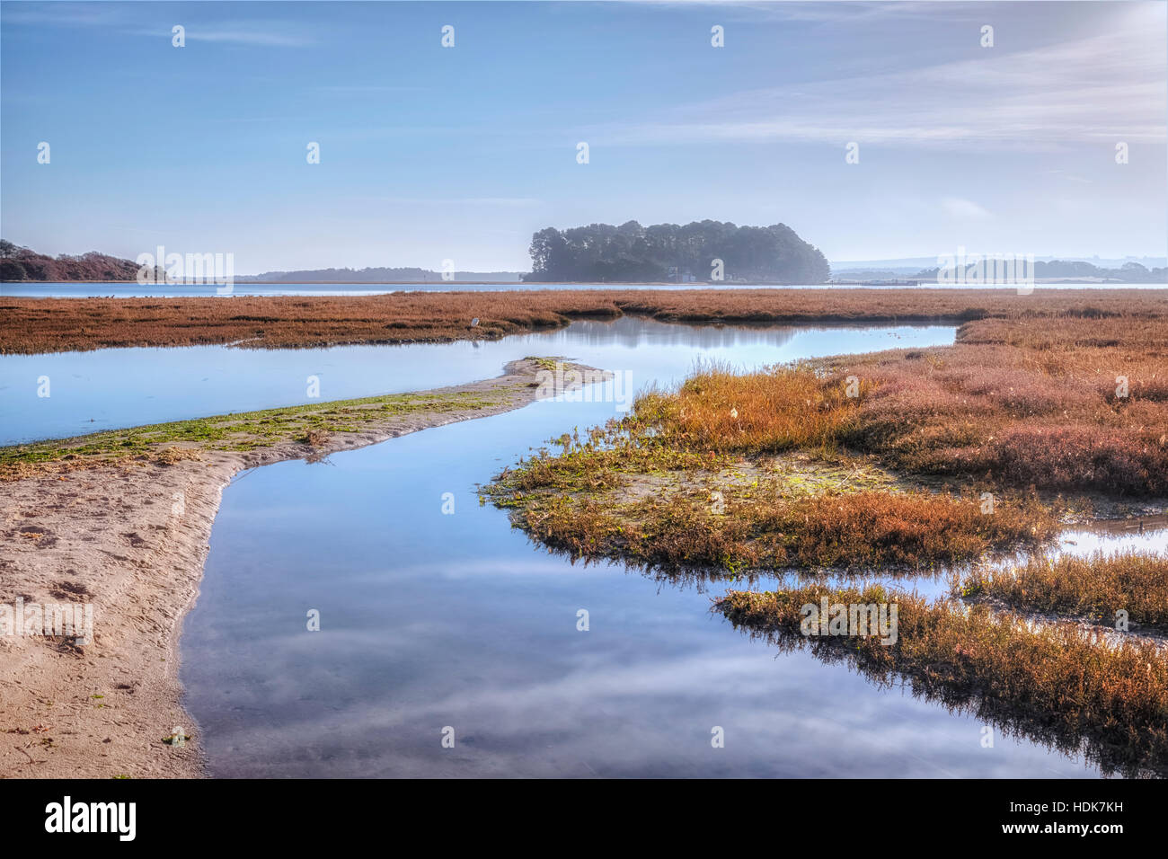 Shipstal beach, arne hi-res stock photography and images - Alamy