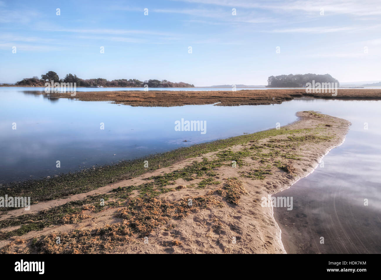 Shipstal Beach, Arne, Purbeck, Dorset, England, UK Stock Photo - Alamy