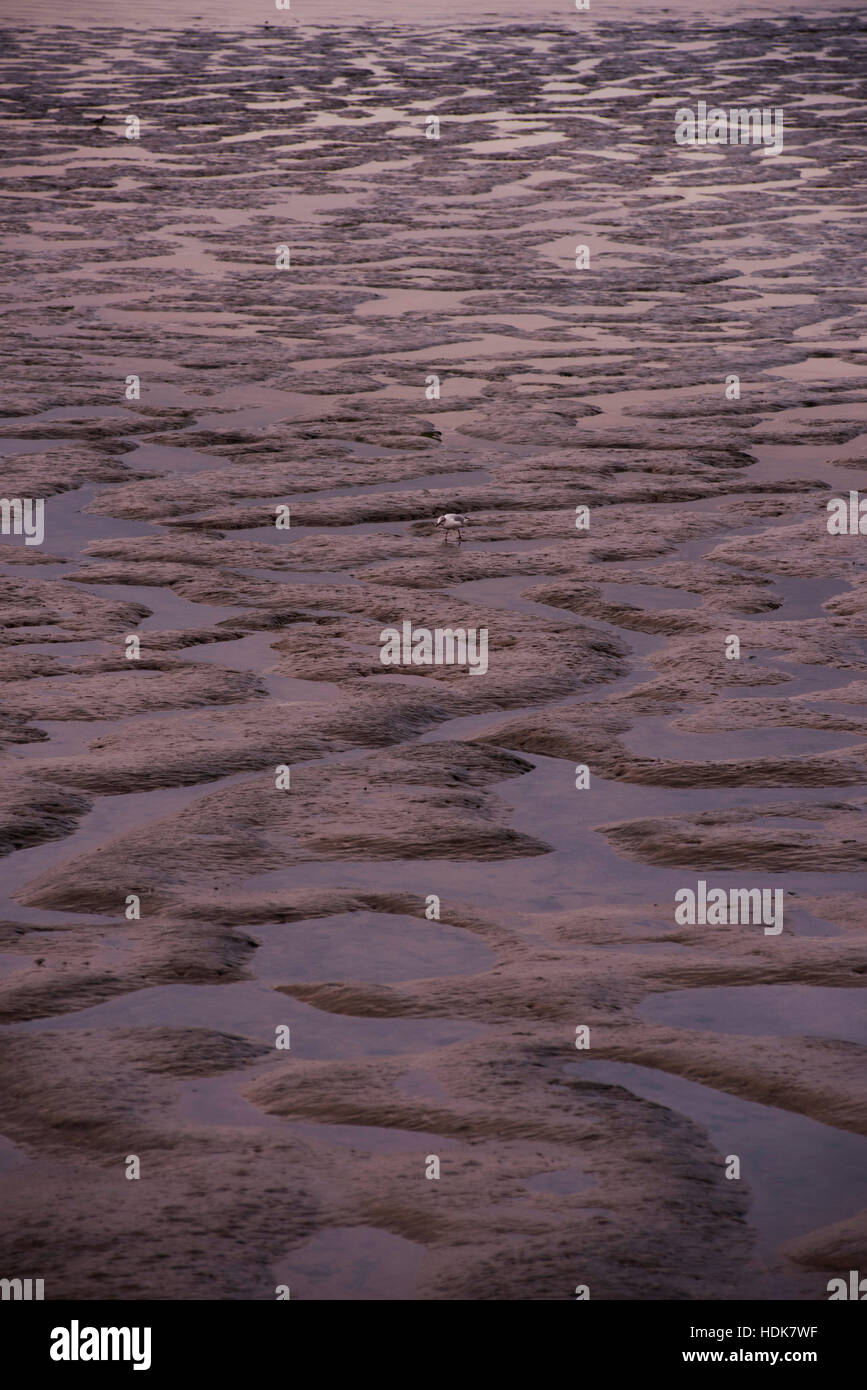 Ripple patterns in sand / mud Stock Photo - Alamy