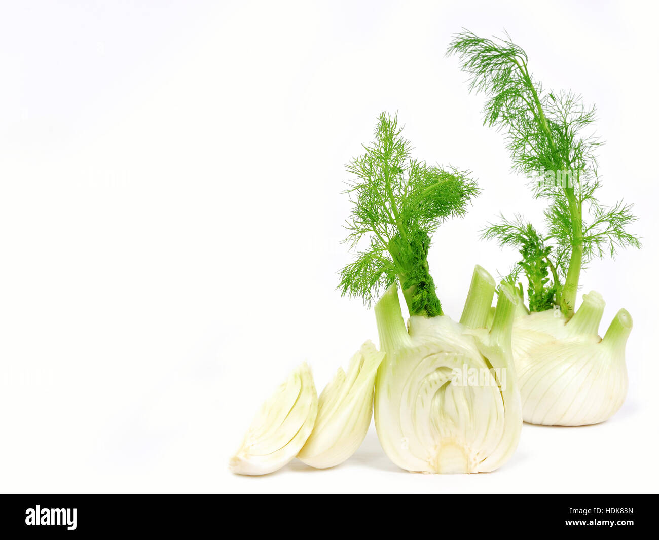 Fresh fennel cut just harvested, photographed on white background Stock ...