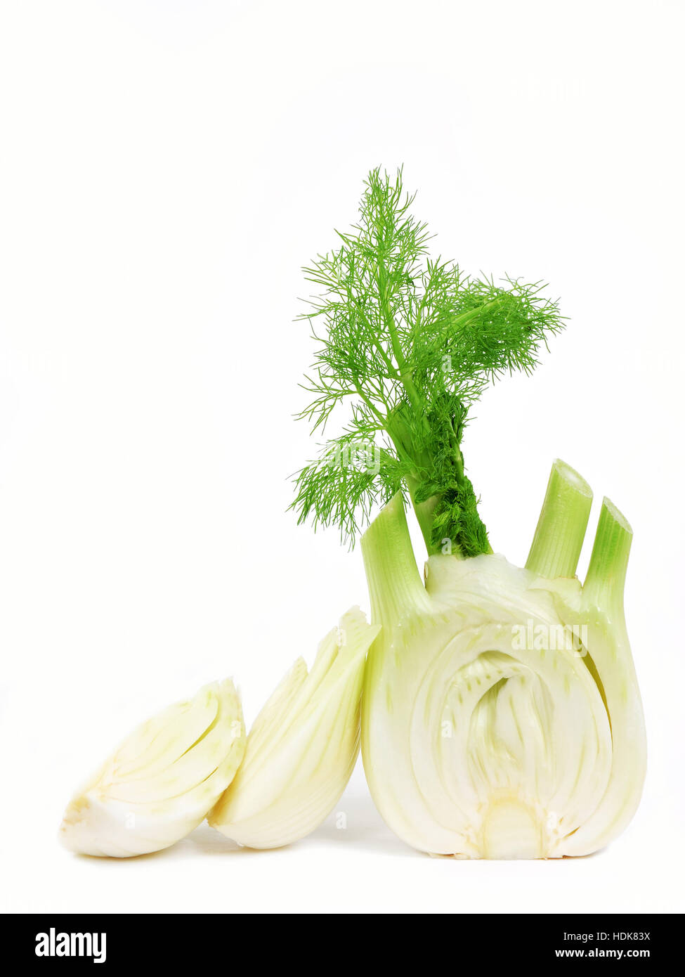Fresh fennel cut just harvested, photographed on white background Stock ...