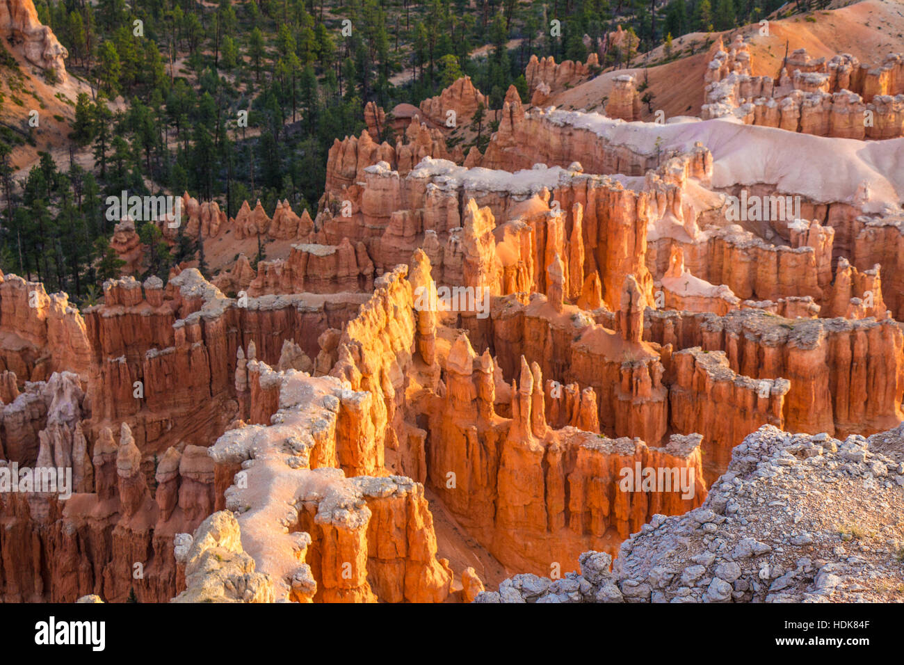 Bryce Canyon Hoodoos, Utah, USA Stock Photo - Alamy